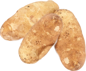 Potato | Neko Chan Wiki | Fandom