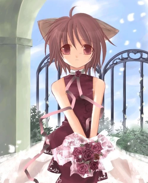 What are Neko's? | Neko Fanon Wiki | Fandom