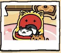 Chip | Neko Atsume Wiki | Fandom