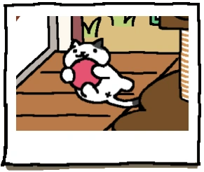 Spots | Neko Atsume Wiki | Fandom