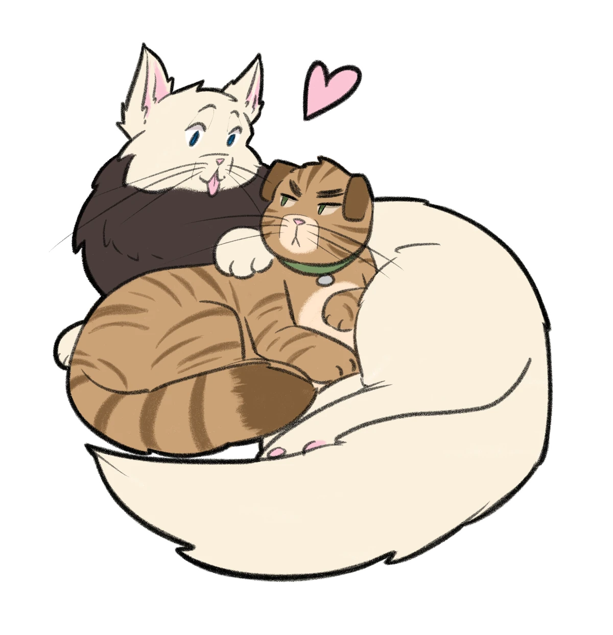 Ship rarity list | Nekodex Wiki | Fandom