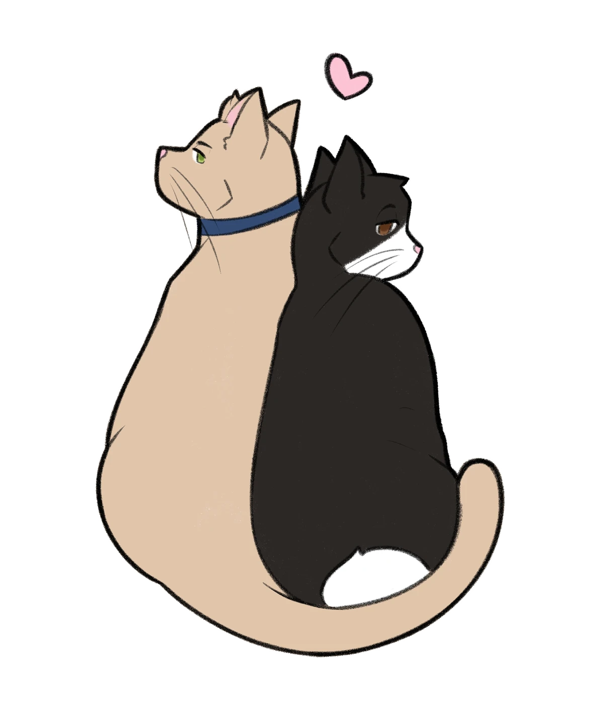 NedPan | Nekodex Wiki | Fandom