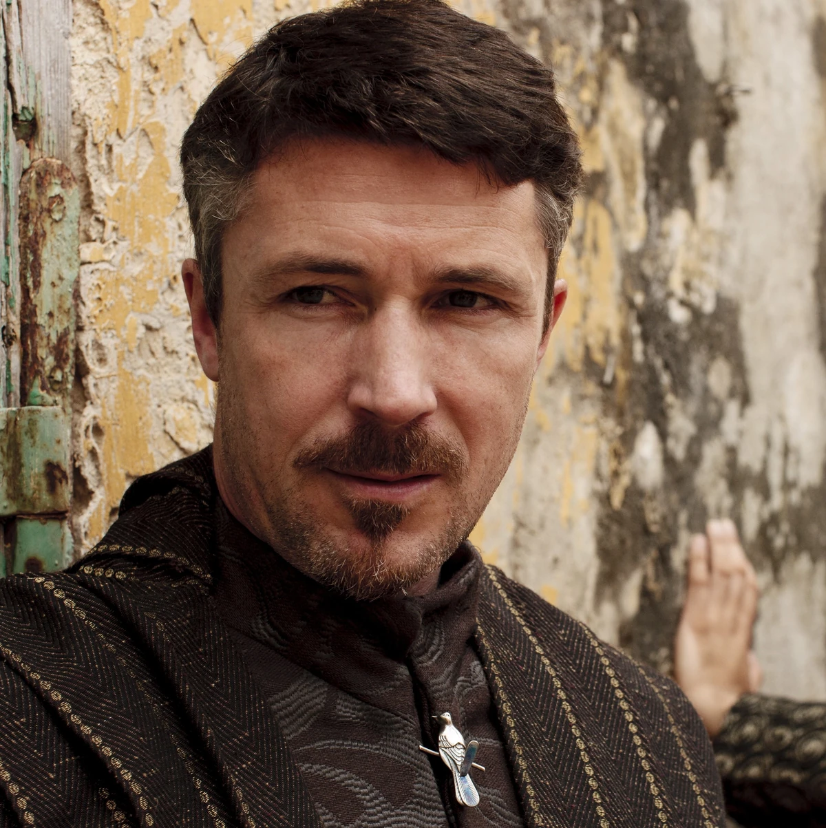 Petyr Baelish | Nelson Westeros Fanon Wiki | Fandom