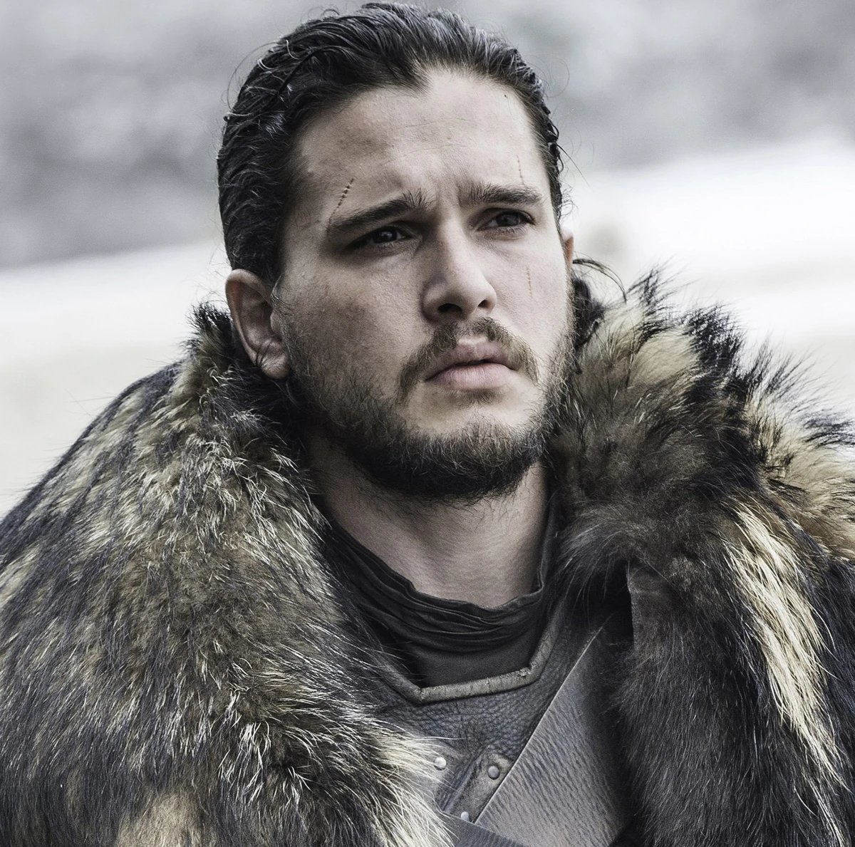 Jon Snow | Nelson Westeros Fanon Wiki | Fandom