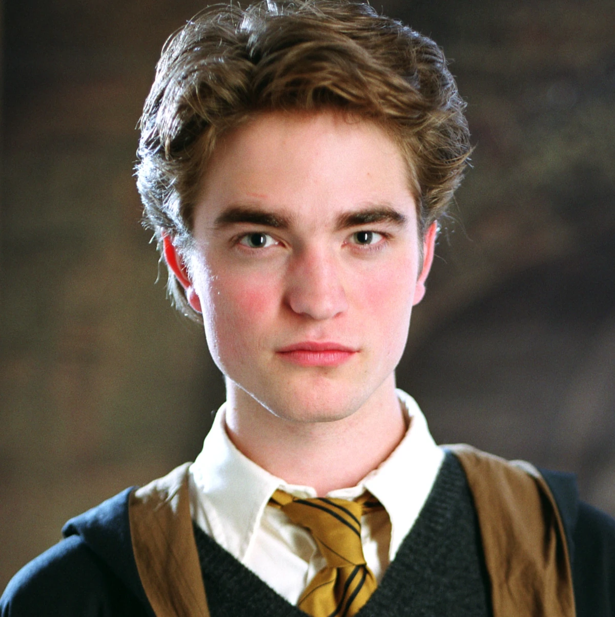Cedric Diggory | Nelson Wizard Story Wiki | Fandom