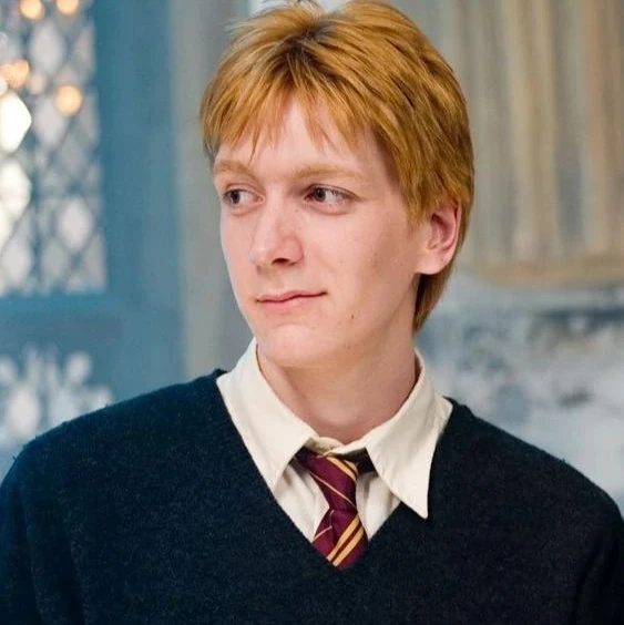 Fred Weasley | Nelson Wizard Story Wiki | Fandom