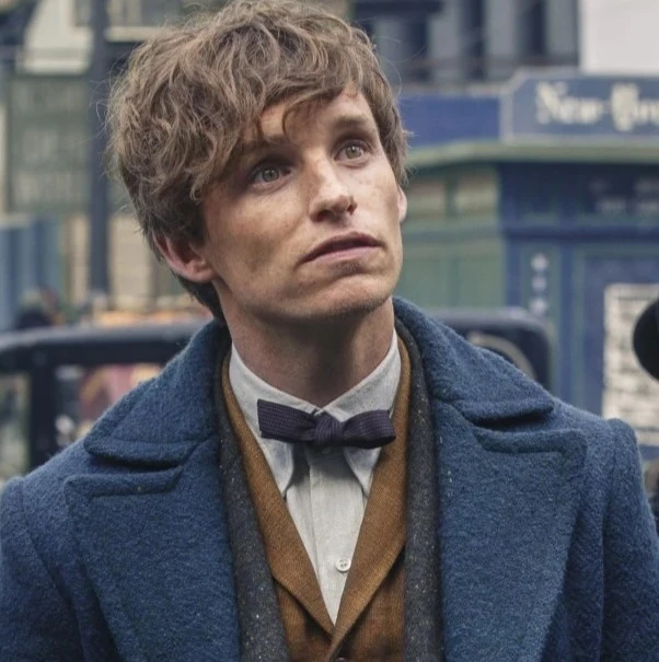 Newton Scamander | Nelson Wizard Story Wiki | Fandom