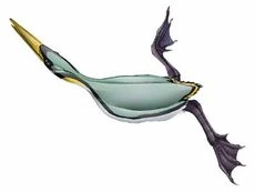 Baptornis | NemerteanPlanet Wiki | Fandom