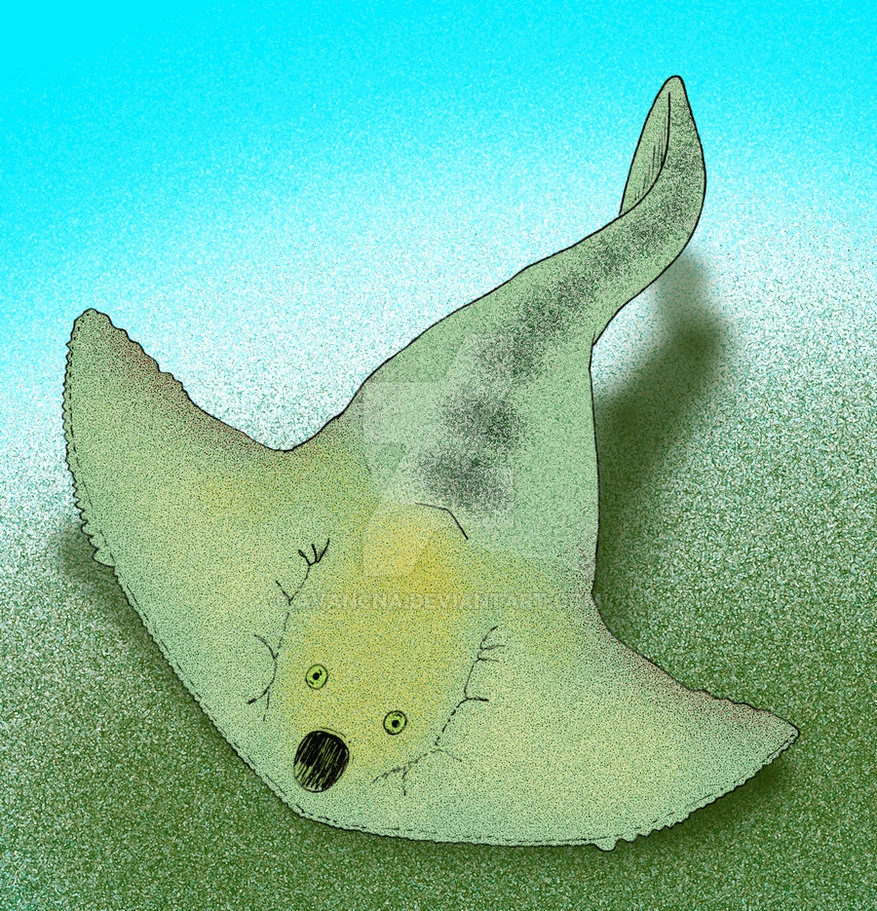 Platycaraspis tianshanensis | NemerteanPlanet Wiki | Fandom