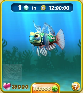 Grey Mandarinfish | Nemo's Reef Wiki | Fandom