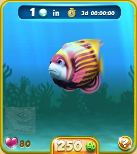 Pink Emperor Angelfish | Nemo's Reef Wiki | Fandom