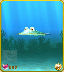 Turquoise Bluespotted Ray | Nemo's Reef Wiki | Fandom