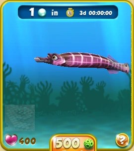 Pink Trumpetfish | Nemo's Reef Wiki | Fandom