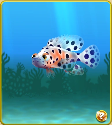 Panther Grouper | Nemo's Reef Wiki | Fandom