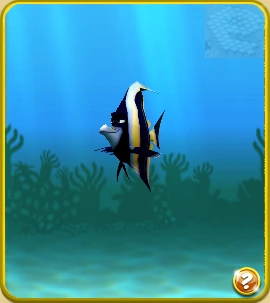 Gill | Nemo's Reef Wiki | Fandom