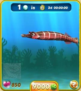 Red Trumpetfish | Nemo's Reef Wiki | Fandom