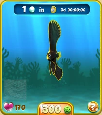 Yellow Dusky Batfish | Nemo's Reef Wiki | Fandom