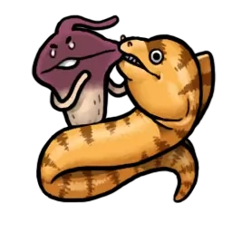 267 Moray | NEO Mushroom Wiki | Fandom