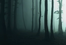 Strange Forest | Neo Scavenger Extended Wiki | Fandom