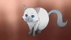 Ervin | Neo Angelique Abyss Wiki | Fandom