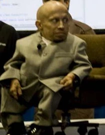 Mini-Me | Neo Encyclopedia Wiki | Fandom