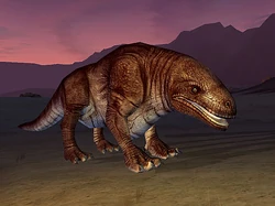 List of Star Wars creatures | Neo Encyclopedia Wiki | Fandom