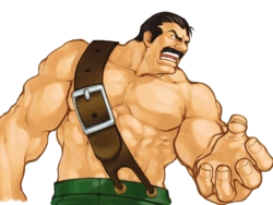 Mike Haggar | Neo Encyclopedia Wiki | Fandom