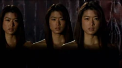 Number Eight (Battlestar Galactica) | Neo Encyclopedia Wiki | Fandom