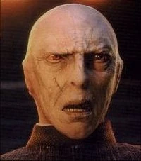 does voldemort have two faces