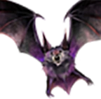 Pets | NEOLITHIA Wiki | Fandom