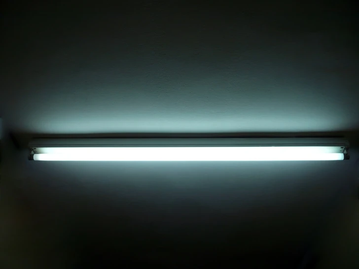 White | Neon colors! Wiki | Fandom