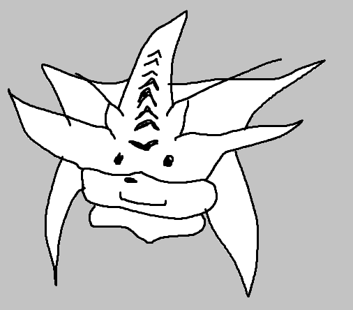 Ditto | Neon the Hedgehog Wiki | Fandom