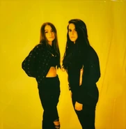 Neoni | Neoni Wiki | Fandom