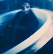 Neoni | Neoni Wiki | Fandom