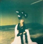 Neoni | Neoni Wiki | Fandom