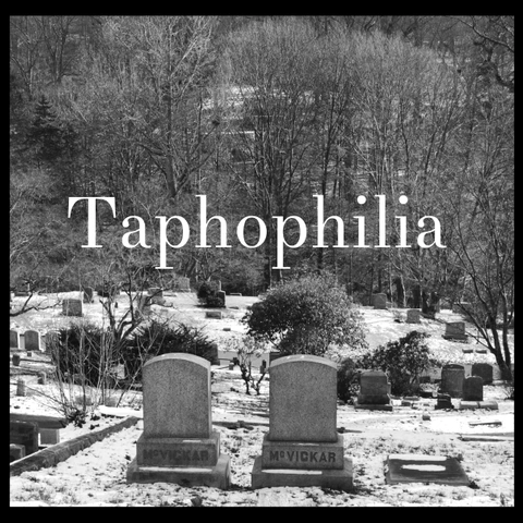 Taphophilia | NeonMob Wiki | Fandom
