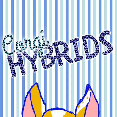 Corgi Hybrids | NeonMob Wiki | Fandom