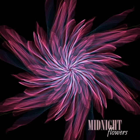 Midnight Flowers | NeonMob Wiki | Fandom
