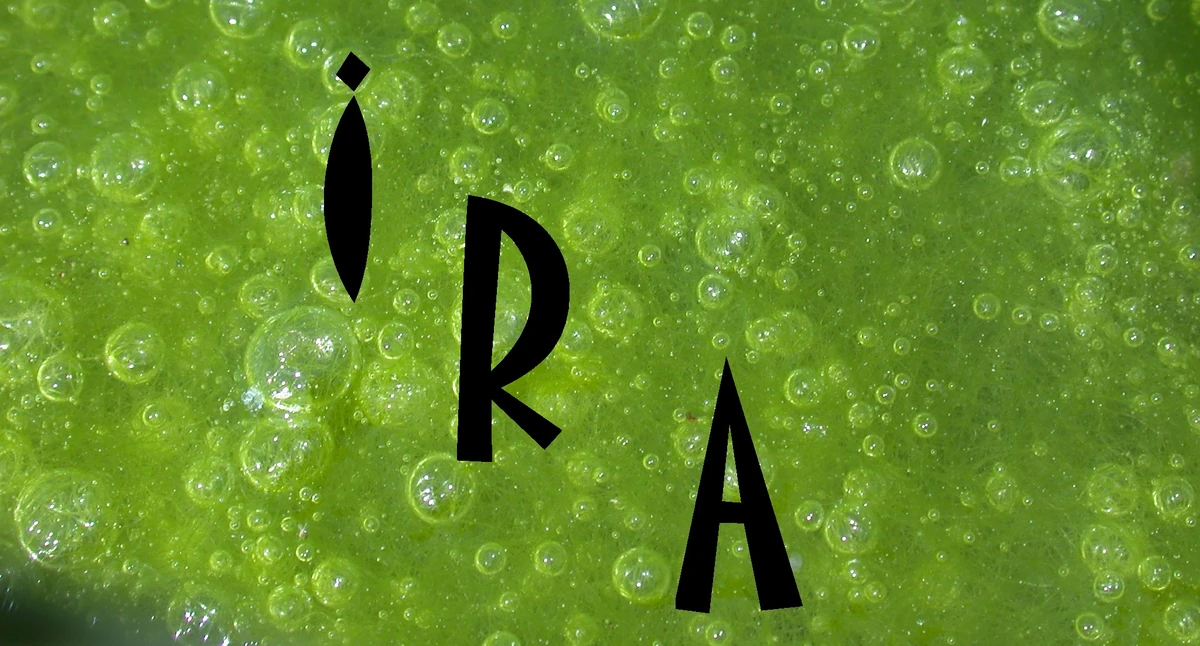 Ira | Wiki Neo X | Fandom