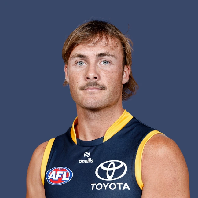 BrantSteele Big Brother Simulator