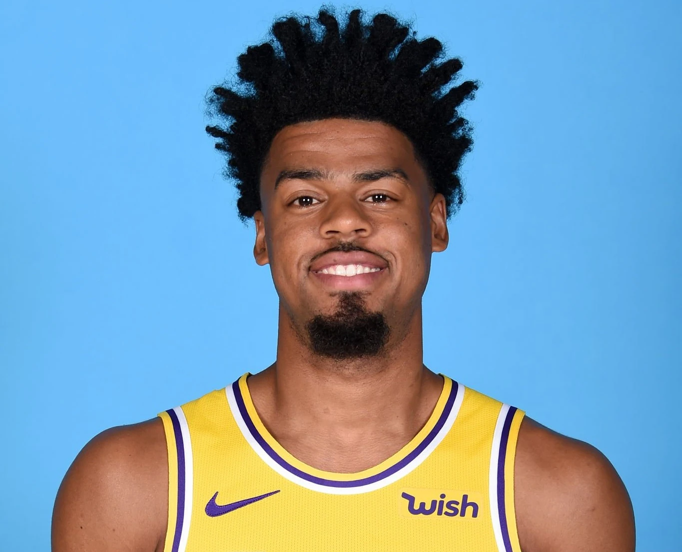 Quinn Cook Champions | Neox's Survivor Brantsteeles Wiki | Fandom