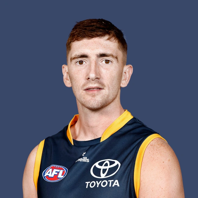 BrantSteele Big Brother Simulator