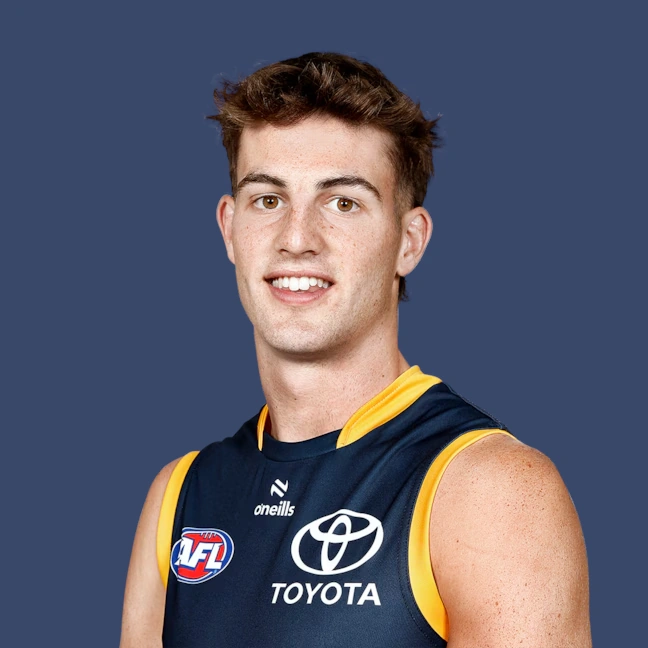 BrantSteele Big Brother Simulator