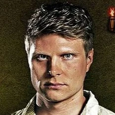 BrantSteele Survivor Simulator