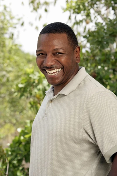Jerry Sims AU | Neox's Survivor Brantsteeles Wiki | Fandom