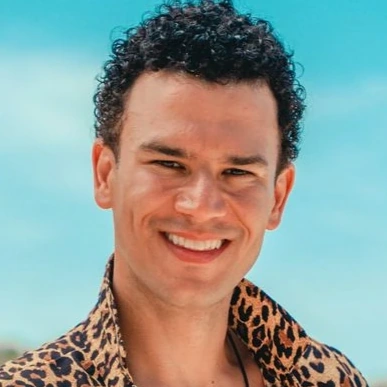 BrantSteele Survivor Simulator
