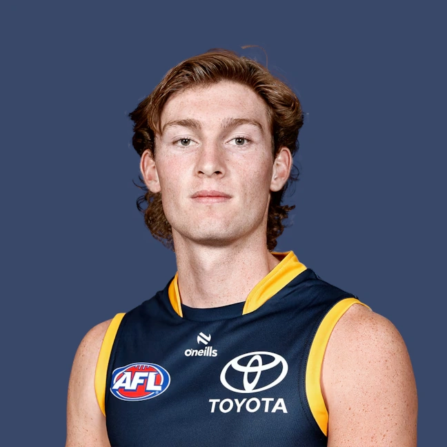 BrantSteele Big Brother Simulator