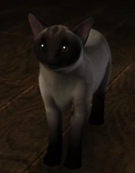 Kim Cat | NerdCubed Wiki | Fandom