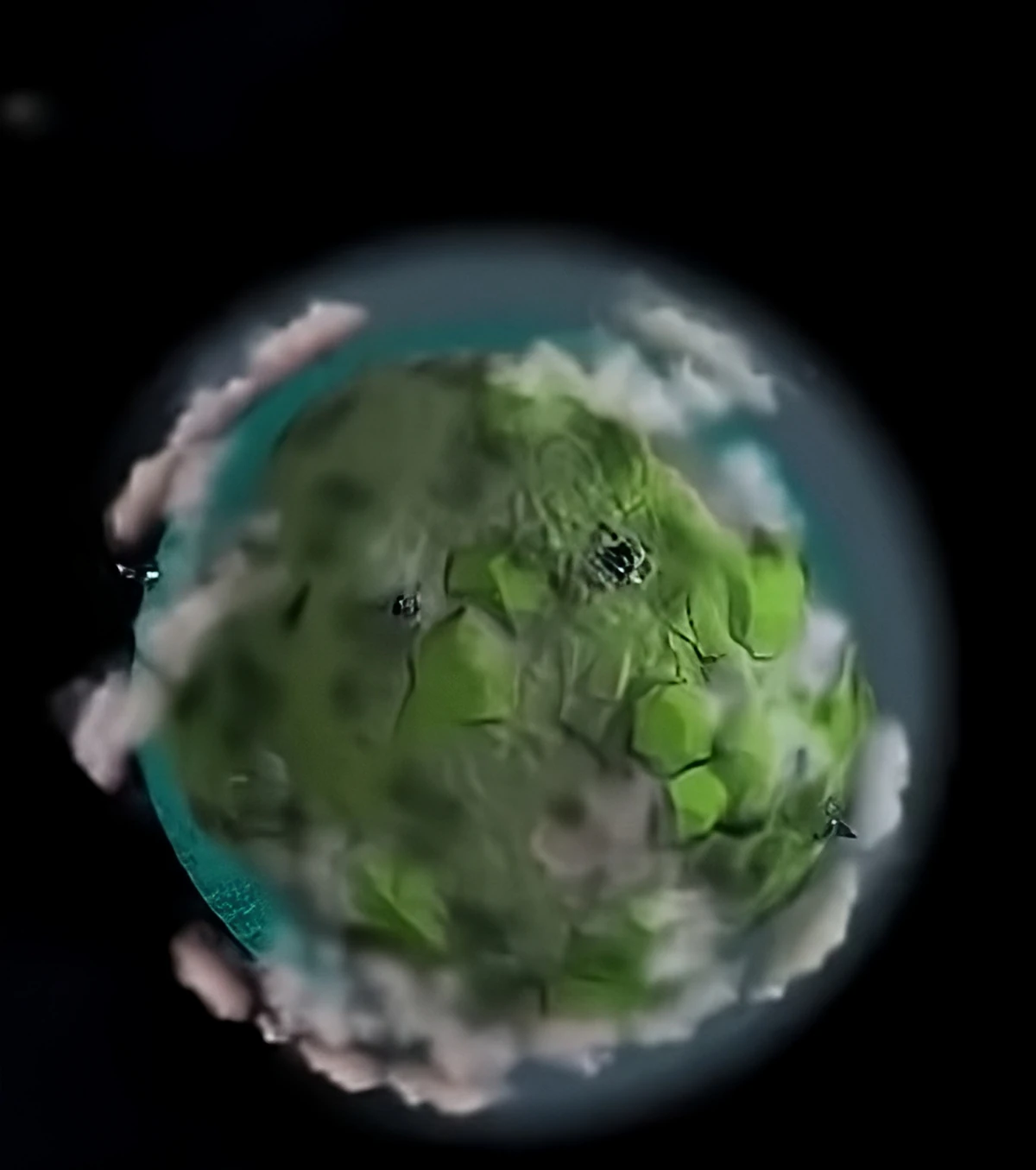 Kenithson | NerdCubed Wiki | Fandom