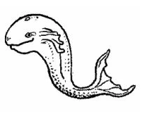 Aquatica | Nerdiverse Wiki | Fandom